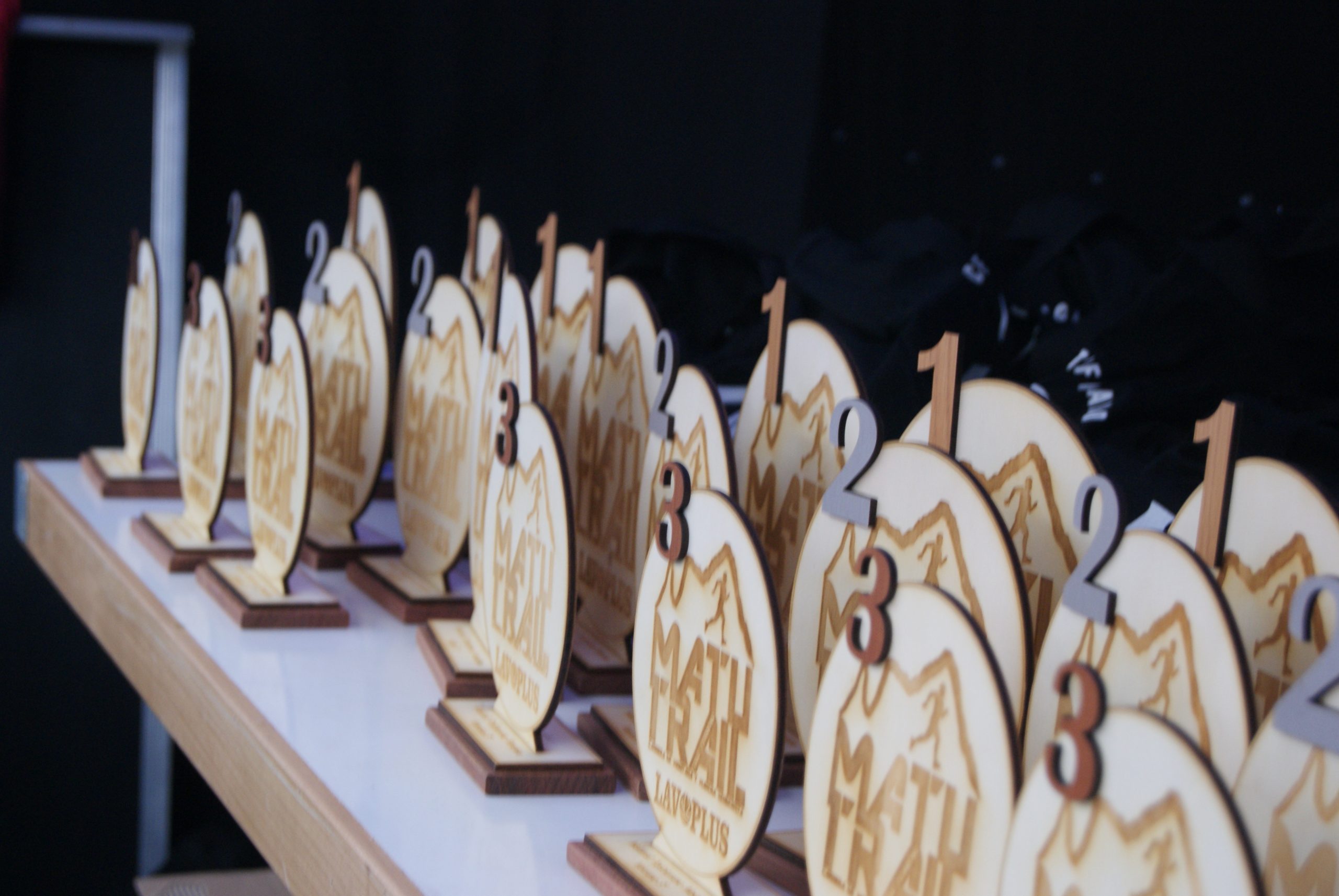 VIII Matutrail resumen - LavoPlus lavanderías